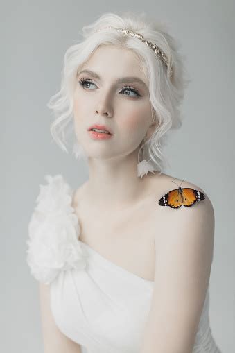 스튜디오에서 젊은 금발 모델 하얀 드레스에 아름다운 고급스러운 그리스 헤어 스타일을 가진 여성 나비를 손에 든 소녀 황금 화환 흰둥이 뷰티 초상화 그리스 여신 순수함과