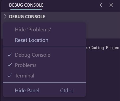 Is There A Way To Get It So I Can Uncheck The Debug And Problems