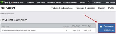 installing the report server telerik report server