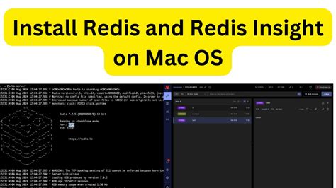 install redis server and redis insight on mac the techflow youtube