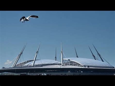 Бакланы атакуют «Крестовский»: что происходит? - YouTube
