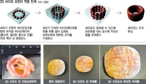 ‘상상 초월 3d 프린터의 진화 인간의 장기 제작까지 넘본다