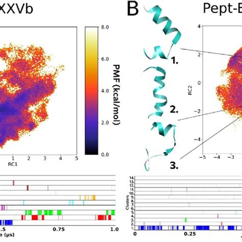 reweighted free energy landscape plots of a pept a xxvb 10 clusters