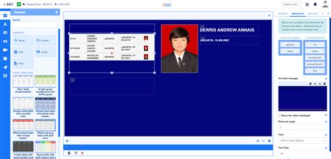how to custom dataset html css in v4 0 2 widget development xibo
