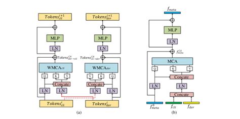 TFormer A Throughout Fusion Transformer For Multi Modal Skin Lesion Diagnosis DeepAI