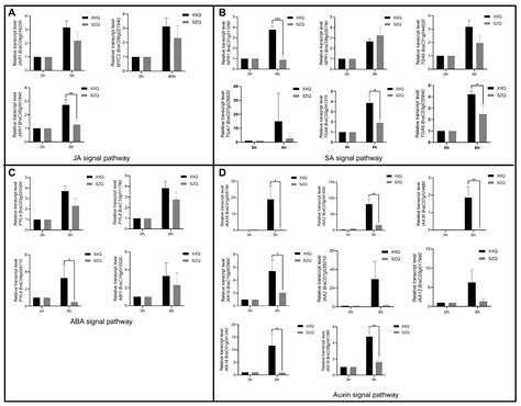 Agronomy Free Full Text Comparative Transcriptomic Analysis Reveals