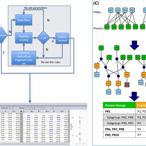 A Workflow Explaining The Msms Ion Annotation Algorithm B