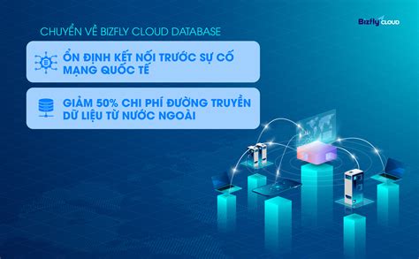 Ổn định Kết Nối Và Giảm 50 Chi Phí đường Truyền Khi Chuyển Về Bizfly Cloud Database