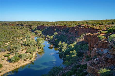 호크스 헤드 전망대에서 머치 슨 강 칼 바리 국립 공원 서 호주 16 0명에 대한 스톡 사진 및 기타 이미지 0명 강 경관 Istock