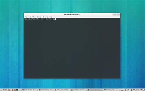 Scrot A Command Line Tool To Take Desktopserver Screenshots
