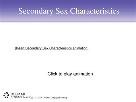 PPT Chapter PowerPoint Presentation Free Download ID