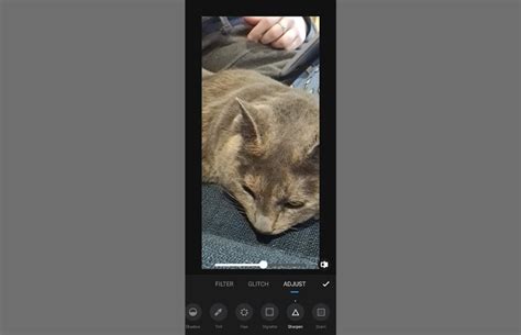 Apps To Fix Blurry Photos In Free Paid