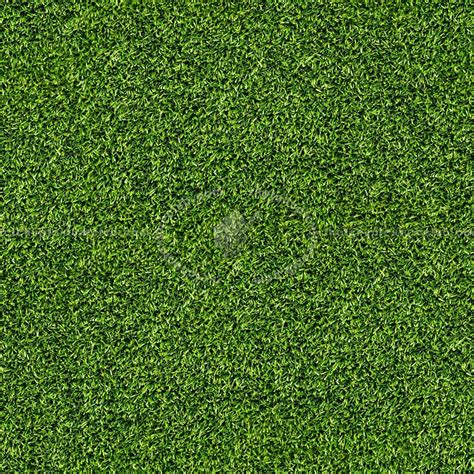 Artificial Green Grass Texture Seamless 13060