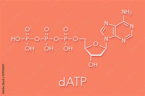 Deoxyadenosine Triphosphate