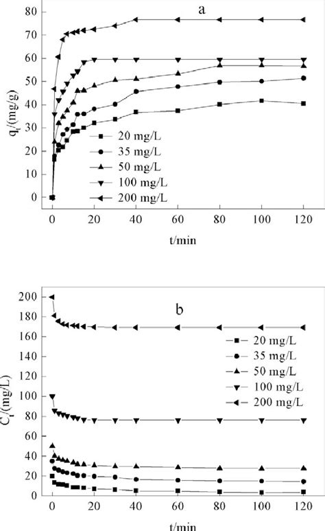 A Effect Of The Initial Phosphate Concentrations On Adsorption Download Scientific Diagram