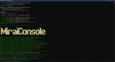 Bug 根据issues修改后仍出现 Websocket Reconnecting In 5s · Issue 234 · Lss233
