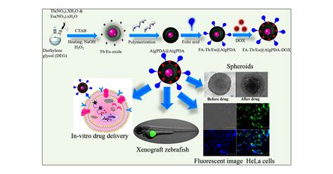 Mixed Lanthanide Oxide Nanoparticles Coated With Alginate Polydopamine