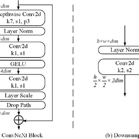 The Architecture Of Convnext Tiny Download Scientific Diagram