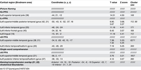 Correlation Between Gray Matter Regions And Performance With Picture Download Table