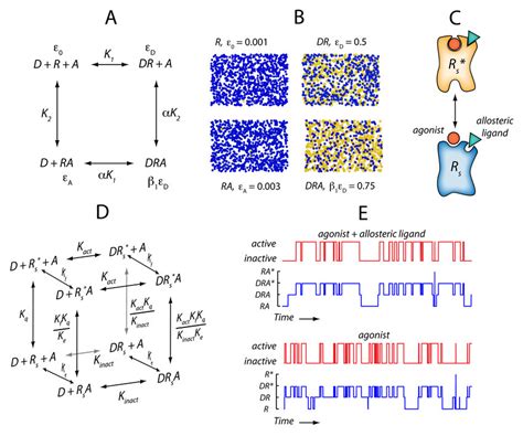 Two Different But Consistent Ways Of Quantifying Cooperativity Based On Download Scientific