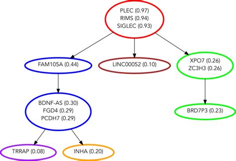 Inferred Tumor Phylogeny For Patient 2 From 37 Through The Joint Use Download Scientific