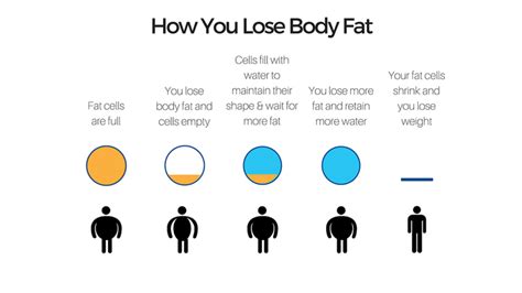 Why Am I Not Losing Weight 9 Common Reasons And What To Do About It