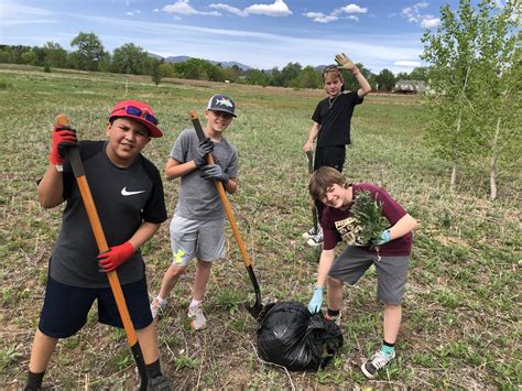 Engaging In Fire Mitigation Cheatgrass Control Earthhome Evolution