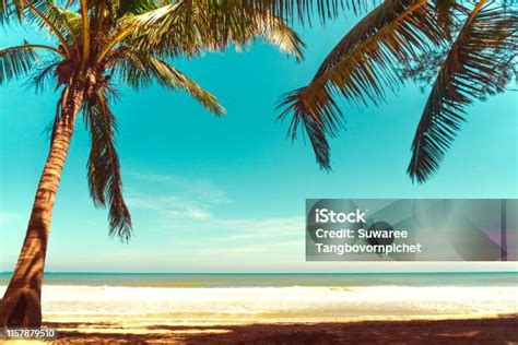 야자수 잎 태양 태양 푸른 하늘과 보케 추상적 인 배경과 여름에 열대 자연 깨끗한 해변과 하얀 모래 0명에 대한 스톡 사진 및 기타 이미지 Istock