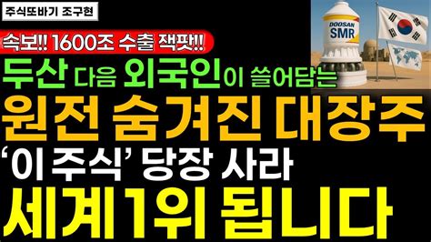 주식 돈도 잘 버는데 싸도 너무 싸요” 10년 슈퍼사이클 맞이한 두산 다음 원전 숨겨진 대장주 ‘이 기업 사세요 외국인도 쓸어담고 있어요 원전주 두산에너빌리티