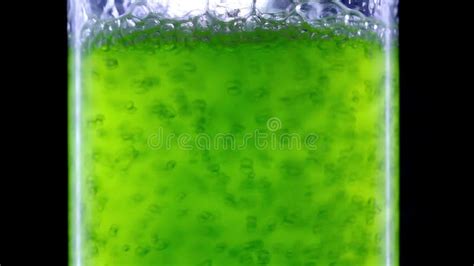 Photobioreactor In Algae Fuel Biofuel Industry Stock Footage Video