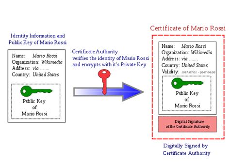 Certificate Key Certificates Templates Free