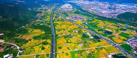 秋意浓最美的风景在路上 景宁 公路 缙云