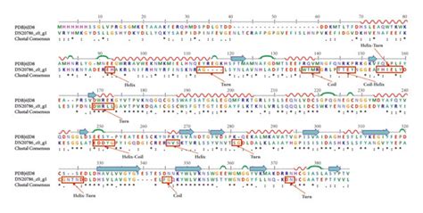 Sequence Alignment 3d Modeling And Phylogenetic Analysis Of Cathepsin