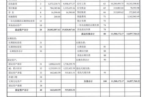 机构月度会计报表 社联社工
