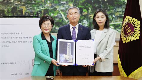 노컷뉴스
