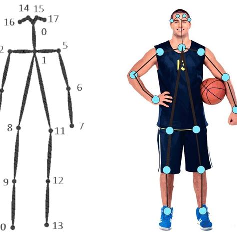 Framework Diagram Of Human Posture Estimation Download Scientific Diagram