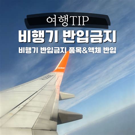비행기 반입금지 물품 국내선 기내 반입금지 품목 보조배터리 액체 반입 기준 네이버 블로그