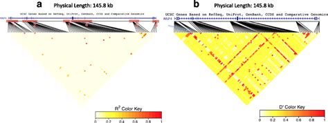 Pairwise Ld Measures For Markers Within Map4 Region On Chromosome 3 In