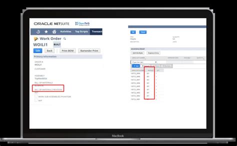 Data Management With Netsuite Bulk Upload Openteq