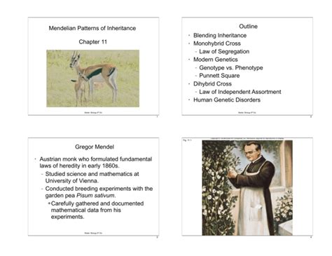 Mendelian Genetics Inheritance Patterns Disorders