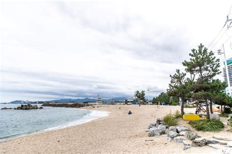 강원도 강릉시 사천해변 사천해수욕장