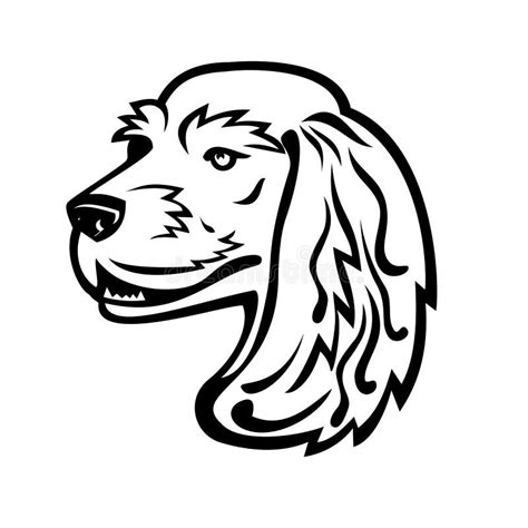 English Cocker Spaniel Head Mascot Black And White Stock Vector Illustration Of Head Identity