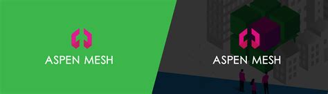 Branding And Website Design For Aspen Mesh