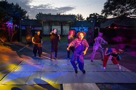 [이태원 참사] 제주도 관광지 핼러윈 축제 안전관리 강화 당부 Zum 뉴스