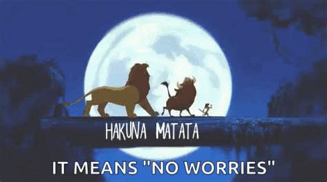 Hakuna Matata It Means No Worries 