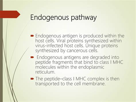 Antigen Processing And Presentation Pptx