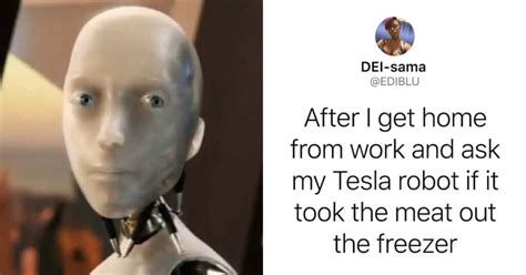40 Funny My Tesla Robot Memes Poking Fun At Everyday Tasks