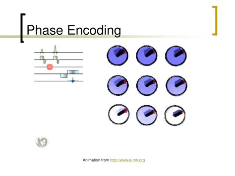 PPT MRI Imaging PowerPoint Presentation Free Download ID 6726623