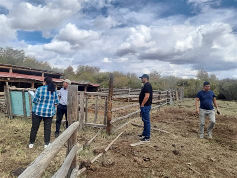 Жижиг дунд үйлдвэрийг хөгжүүлэх сангаас олгох хөнгөлөлттэй зээл Zawhangov