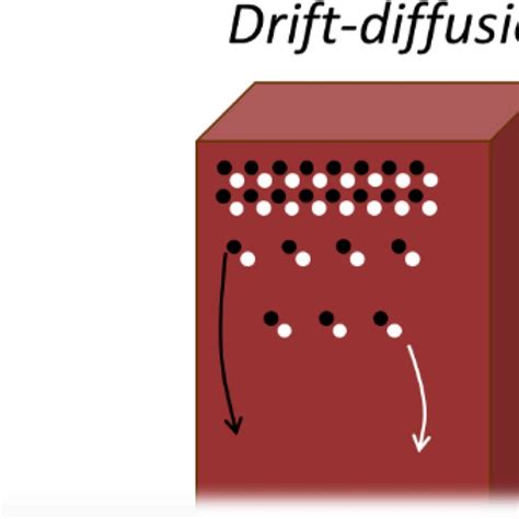 Principle Of The Drift Diffusion Model Generation From Beer Lambert Download Scientific